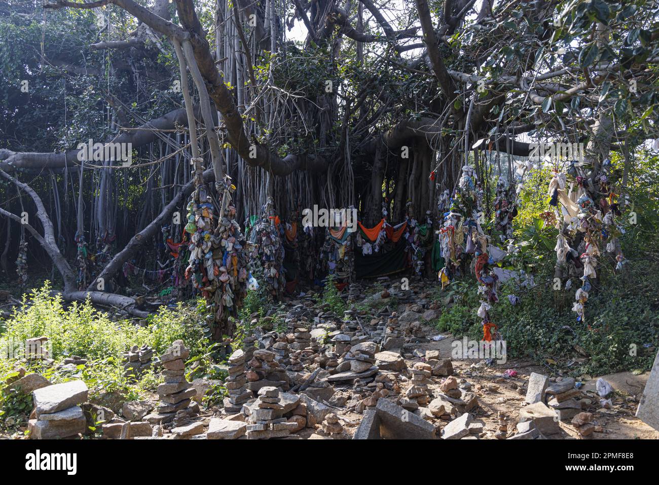 India, Karnataka, Hampi, the wish tree Stock Photo - Alamy