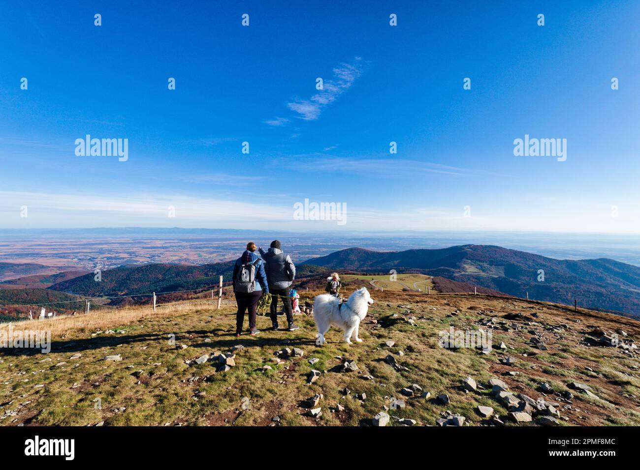 France, Haut-Rhin, Ballons des Vosges Regional Nature Park, Vosges ...