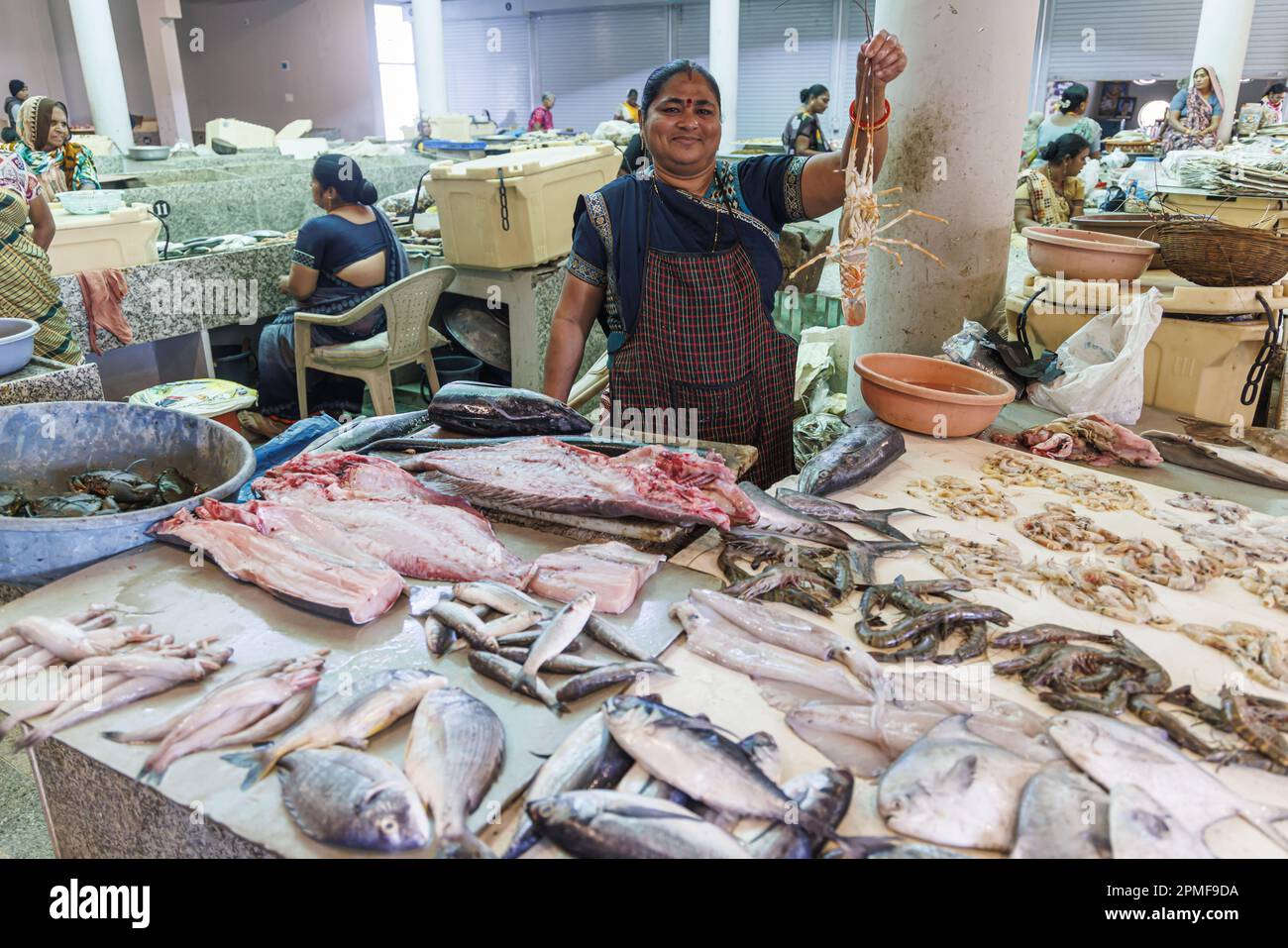 India, Dadra and Nagar Haveli and Daman and Diu, Diu, fish market Stock ...