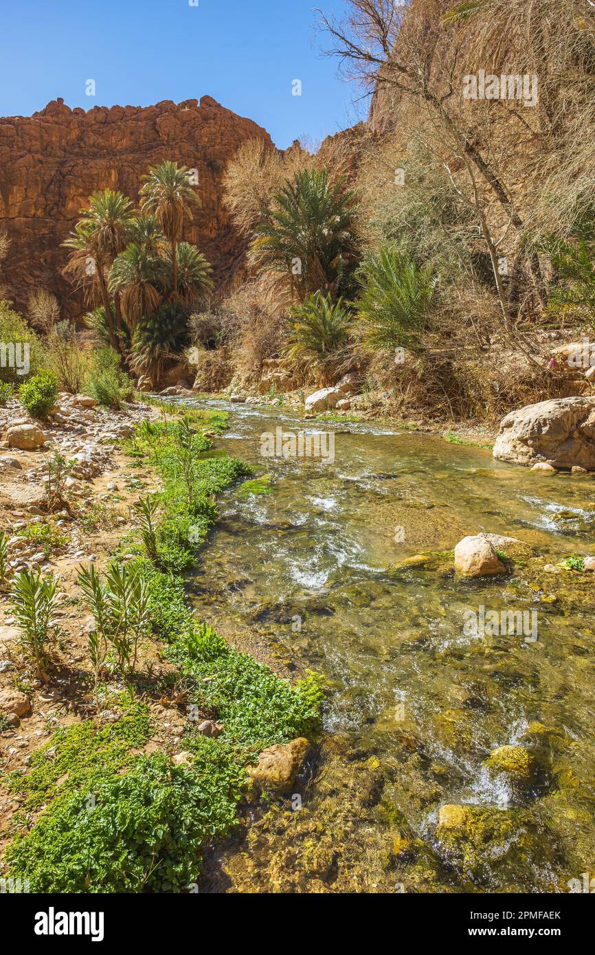 Morocco, Todra (Todgha) Valley, entrance of the Todra (Todgha) Gorges ...
