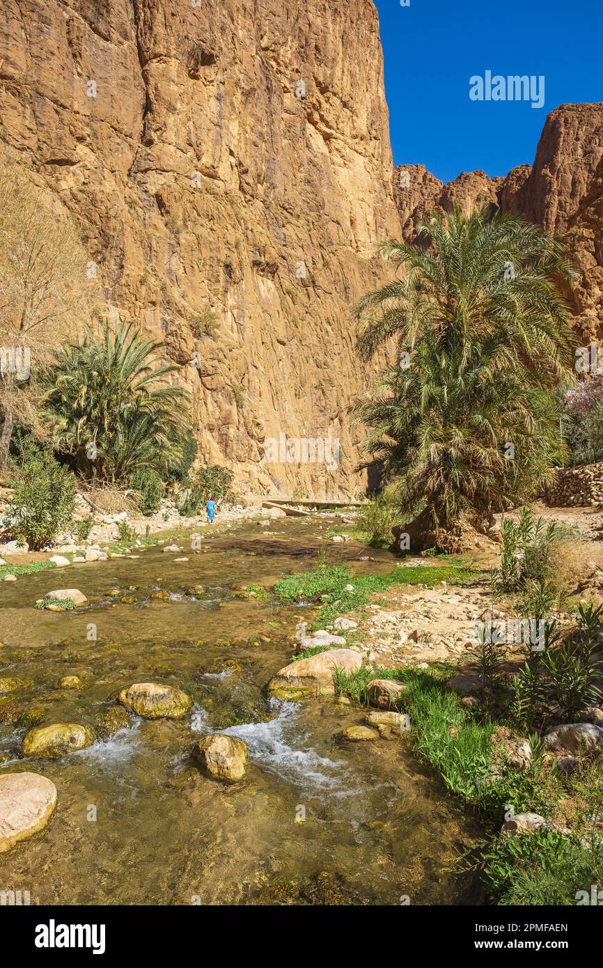 Morocco, Todra (Todgha) Valley, entrance of the Todra (Todgha) Gorges ...