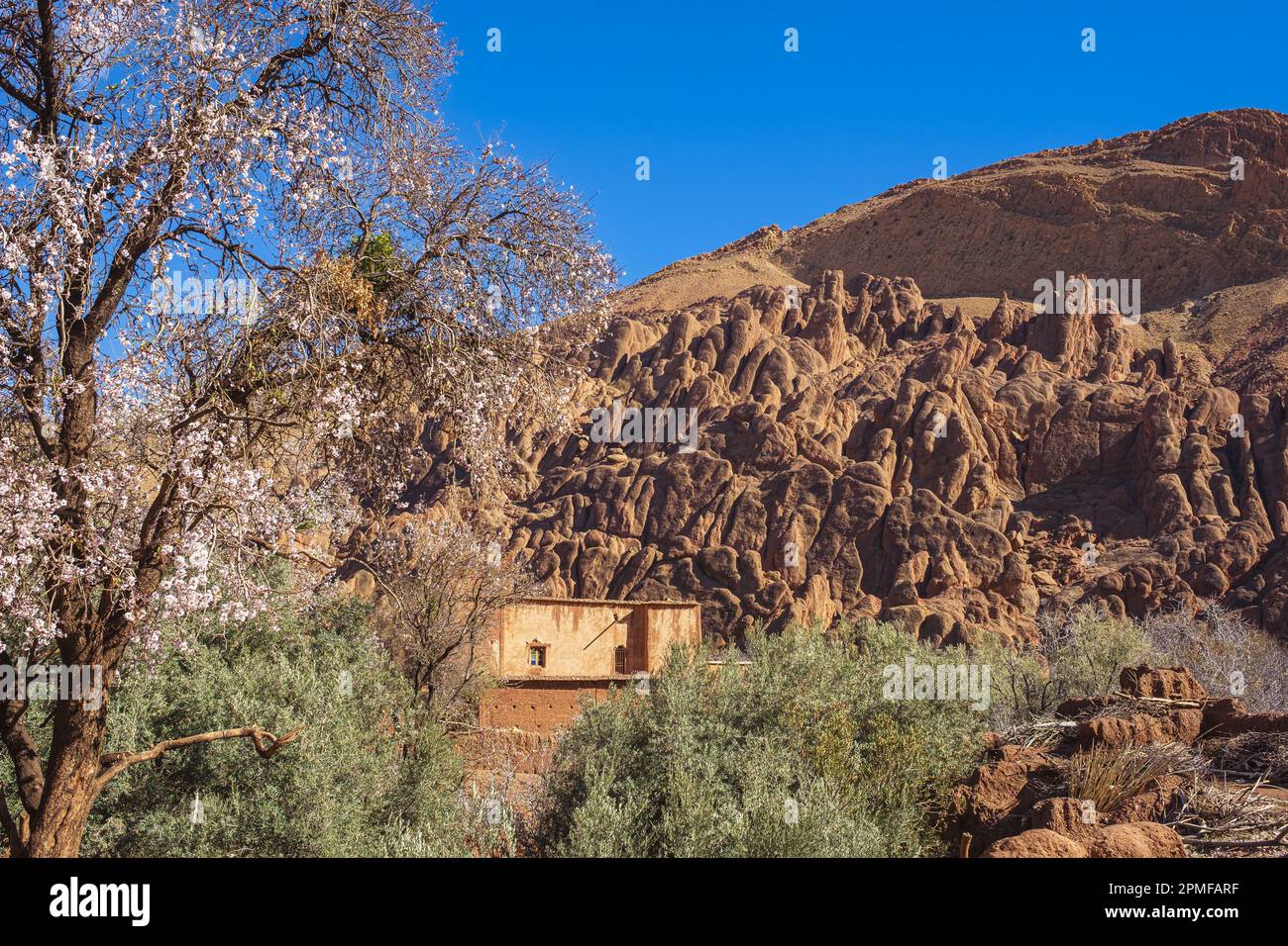 Morocco, Dades Valley, Tamellalt hamlet, the cliff of monkey fingers ...