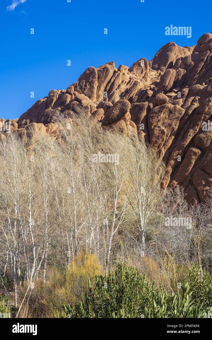 Morocco, Dades Valley, Tamellalt hamlet, the cliff of monkey fingers ...