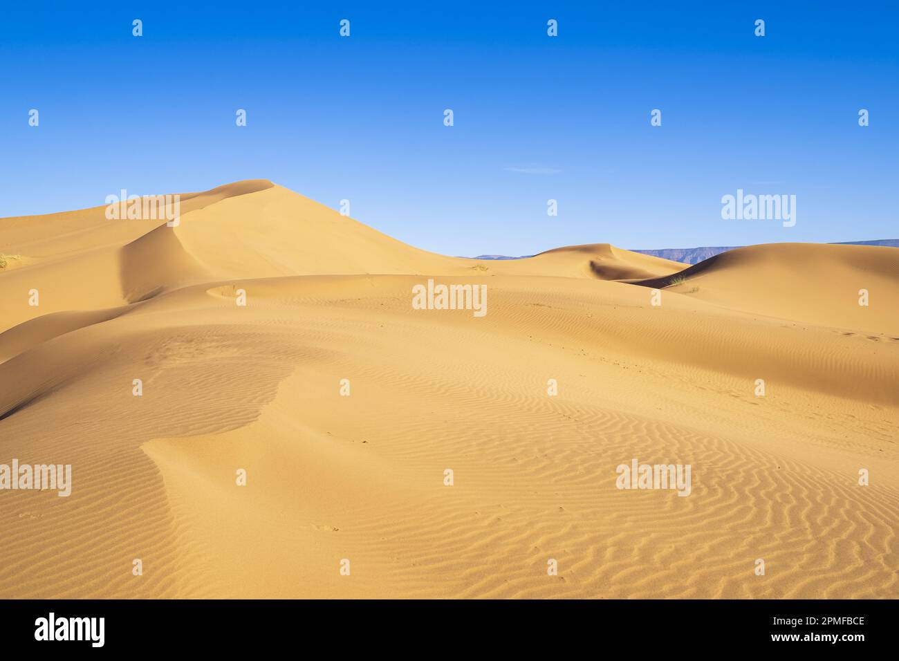 Morocco, province of Zagora, sand dunes of Tinfou Stock Photo - Alamy