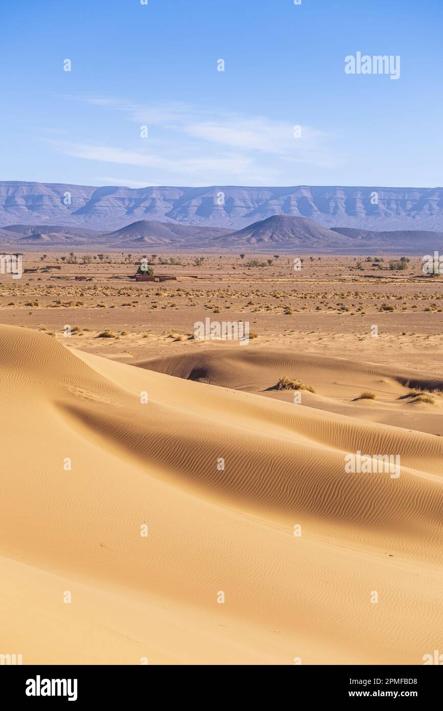 Morocco, province of Zagora, sand dunes of Tinfou Stock Photo - Alamy