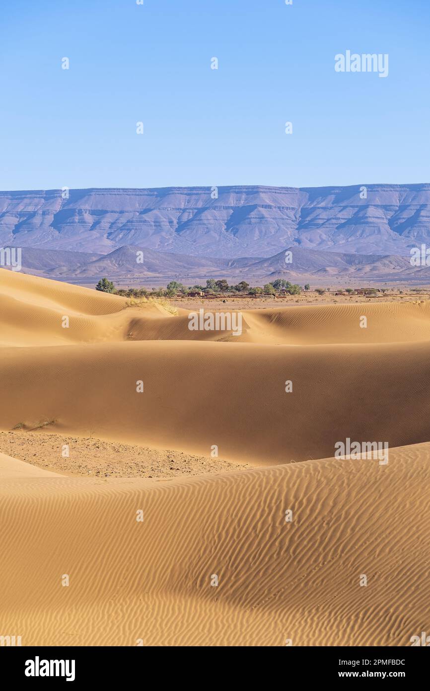 Morocco, province of Zagora, sand dunes of Tinfou Stock Photo - Alamy