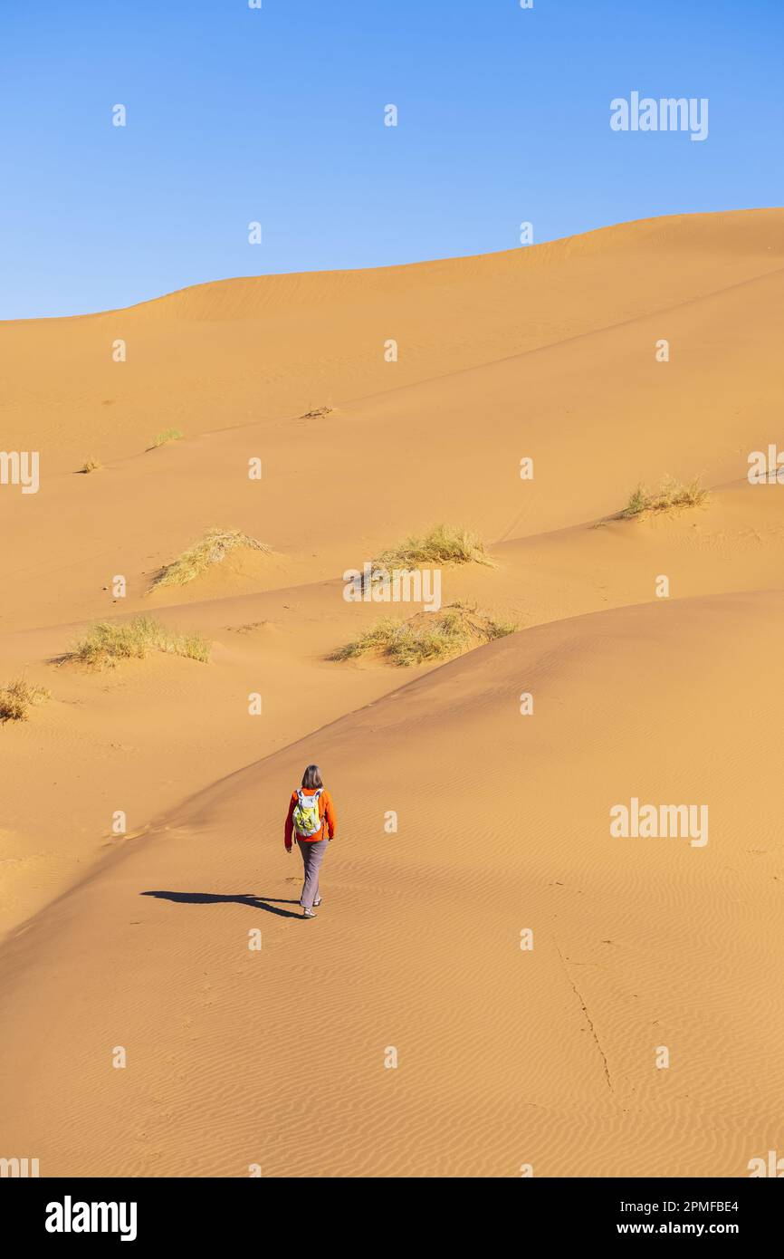 Morocco, province of Zagora, sand dunes of Tinfou Stock Photo - Alamy