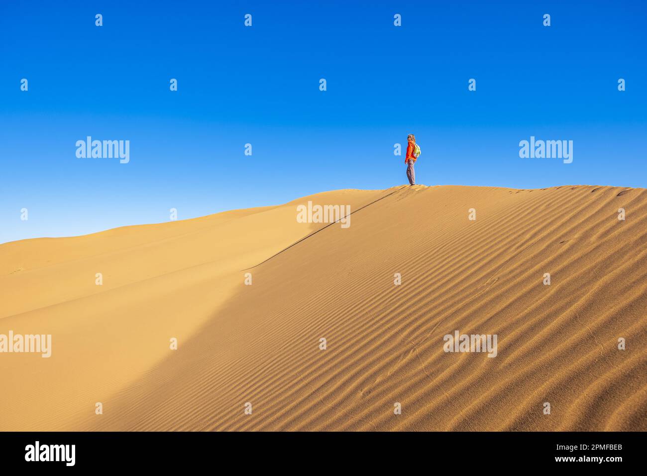 Morocco, province of Zagora, sand dunes of Tinfou Stock Photo - Alamy