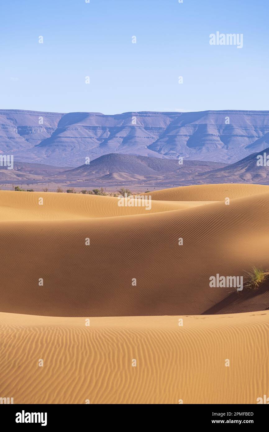 Morocco, province of Zagora, sand dunes of Tinfou Stock Photo - Alamy