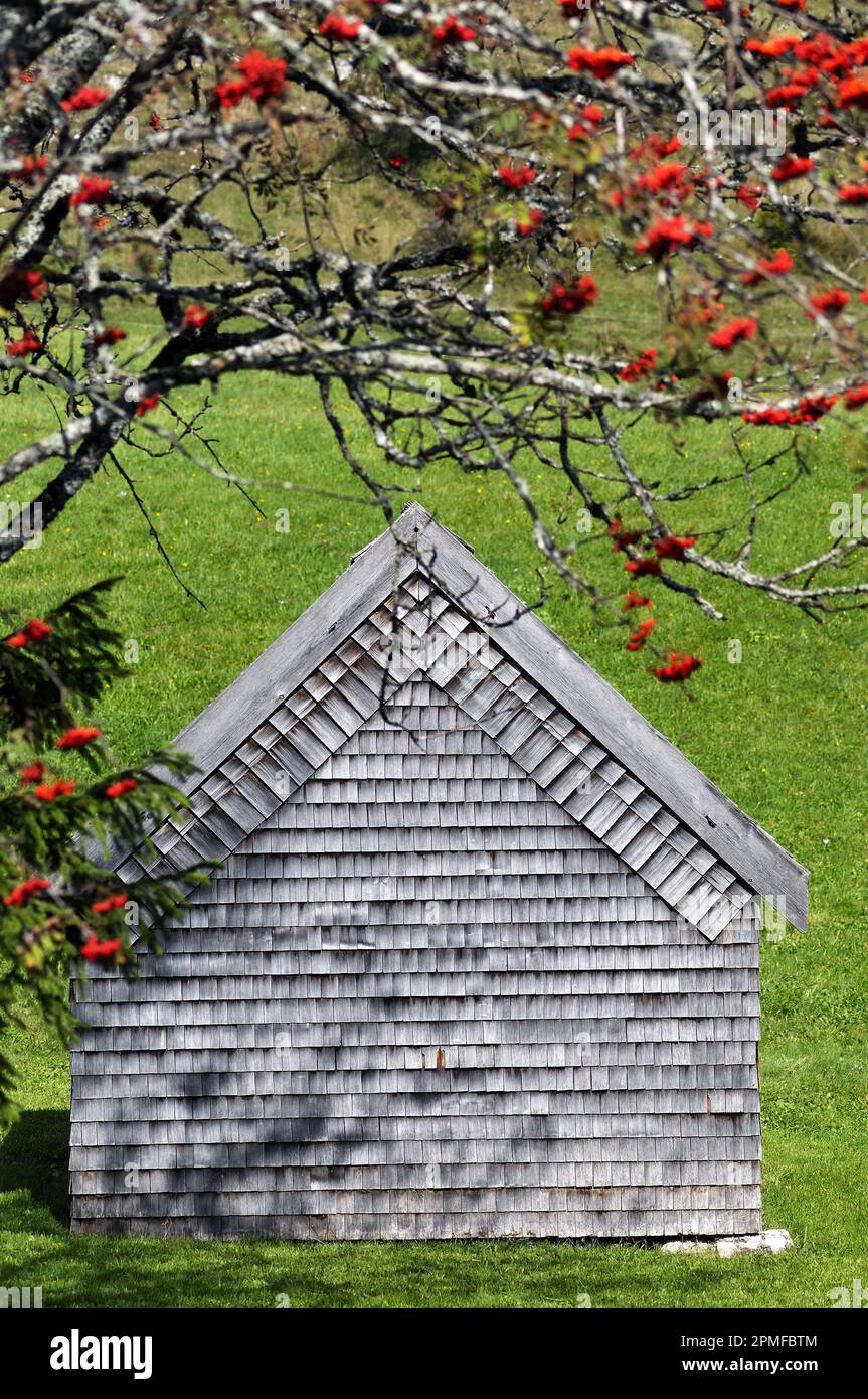 France, Jura, Lajoux, House of the Haut Jura Park, attics-fort in wood ...