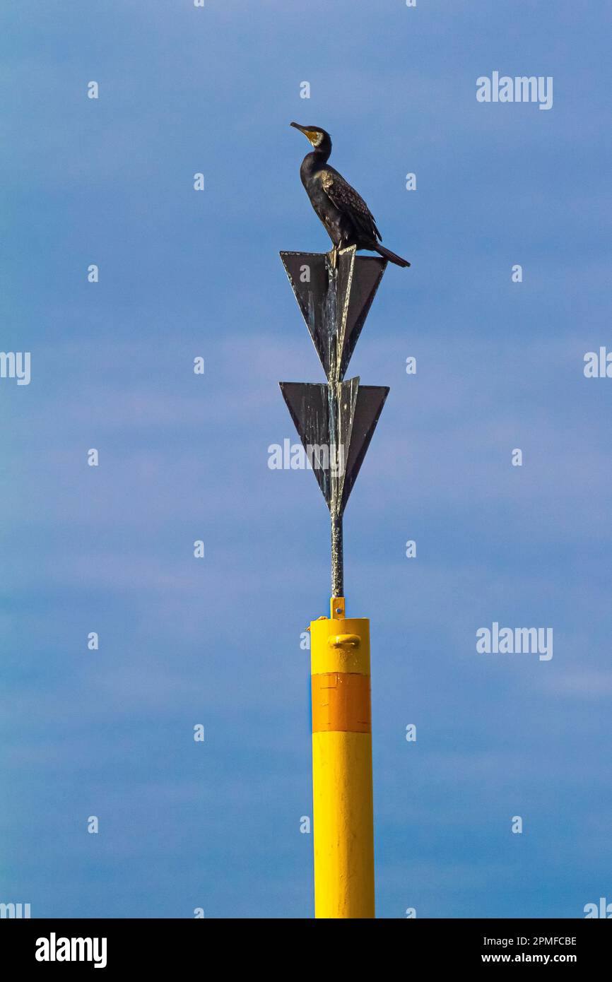 Pointe du cardinal hi-res stock photography and images - Alamy