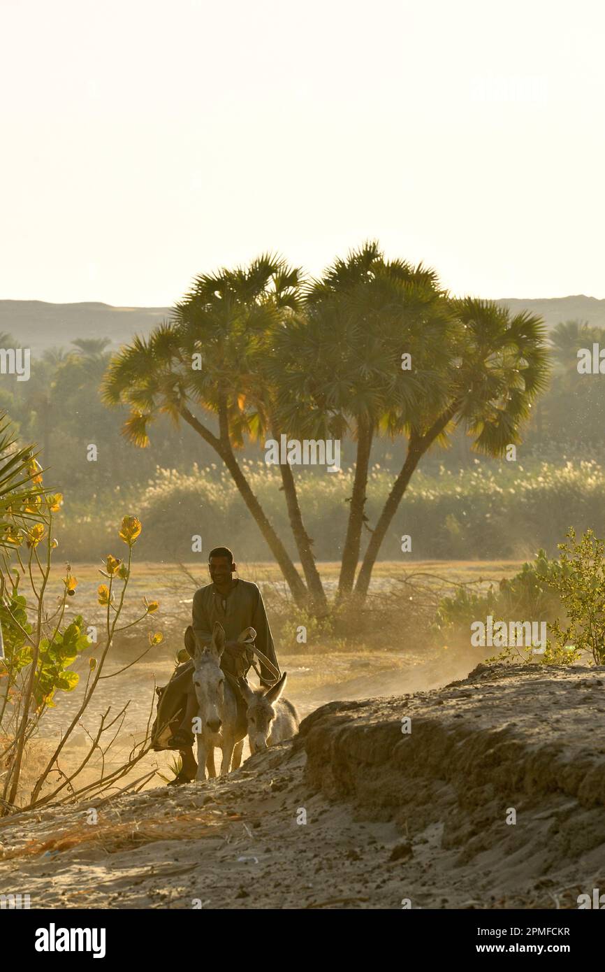 Egypt, Upper Egypt, Nile Valley Stock Photo - Alamy