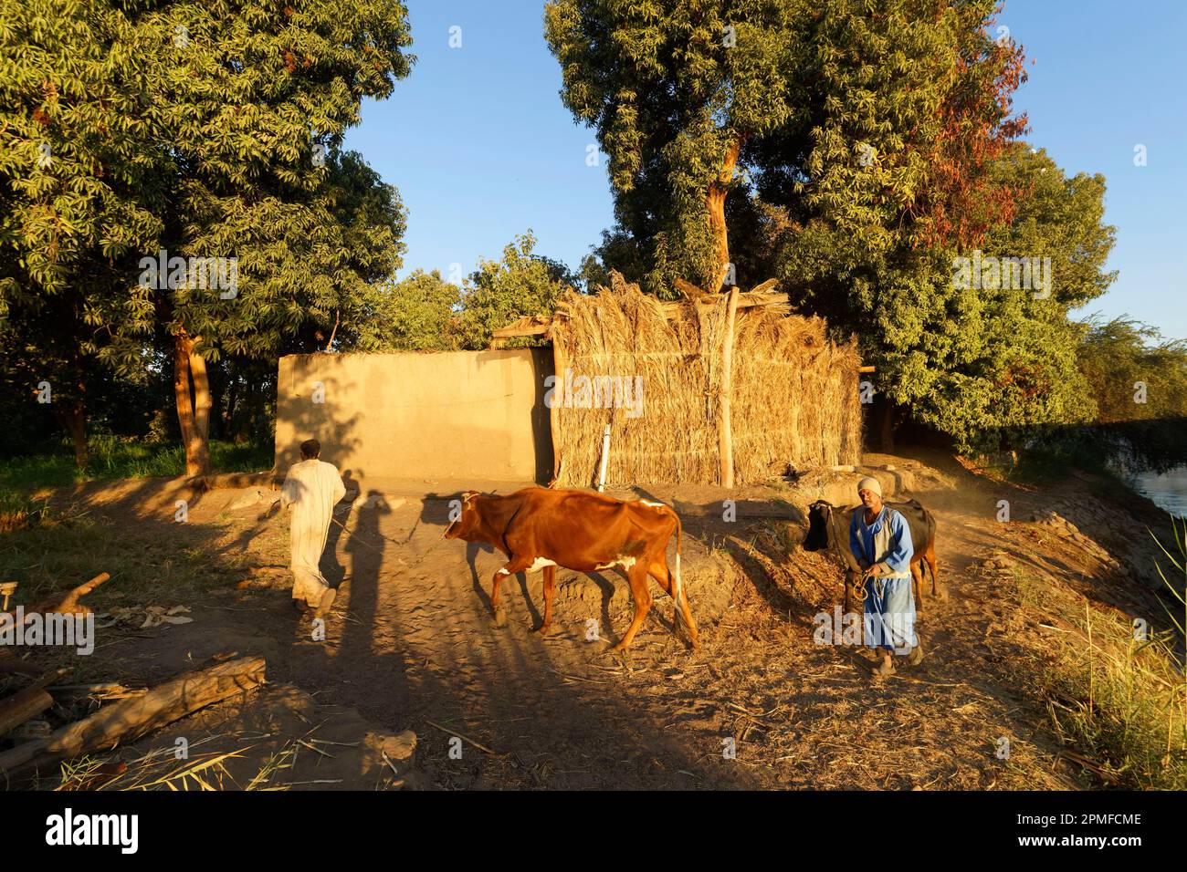 Egypt, Upper Egypt, Nile Valley, Nile river banks Stock Photo - Alamy
