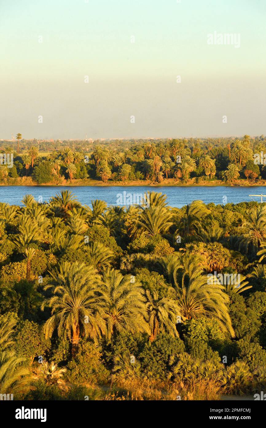 Egypt, Upper Egypt, Nile Valley, Nile river banks Stock Photo - Alamy
