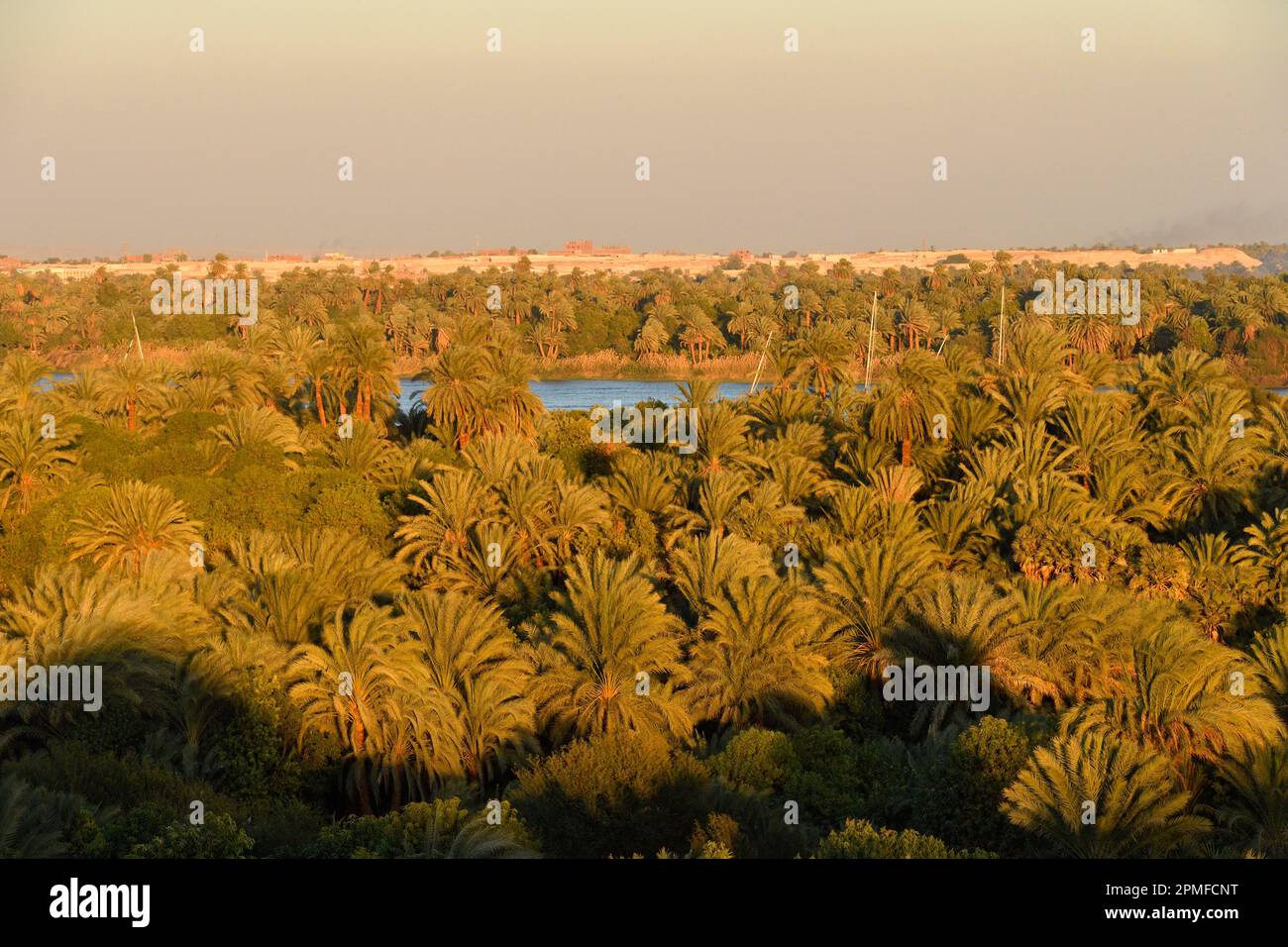 Egypt, Upper Egypt, Nile Valley, Nile river banks Stock Photo - Alamy