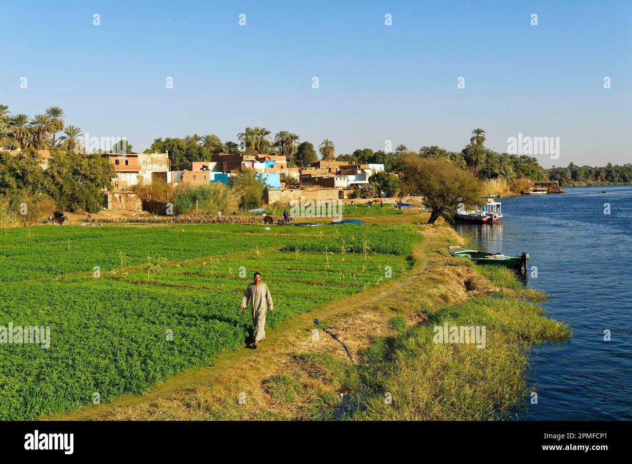 Egypt, Upper Egypt, Nile Valley, Nile river banks, country scene ...