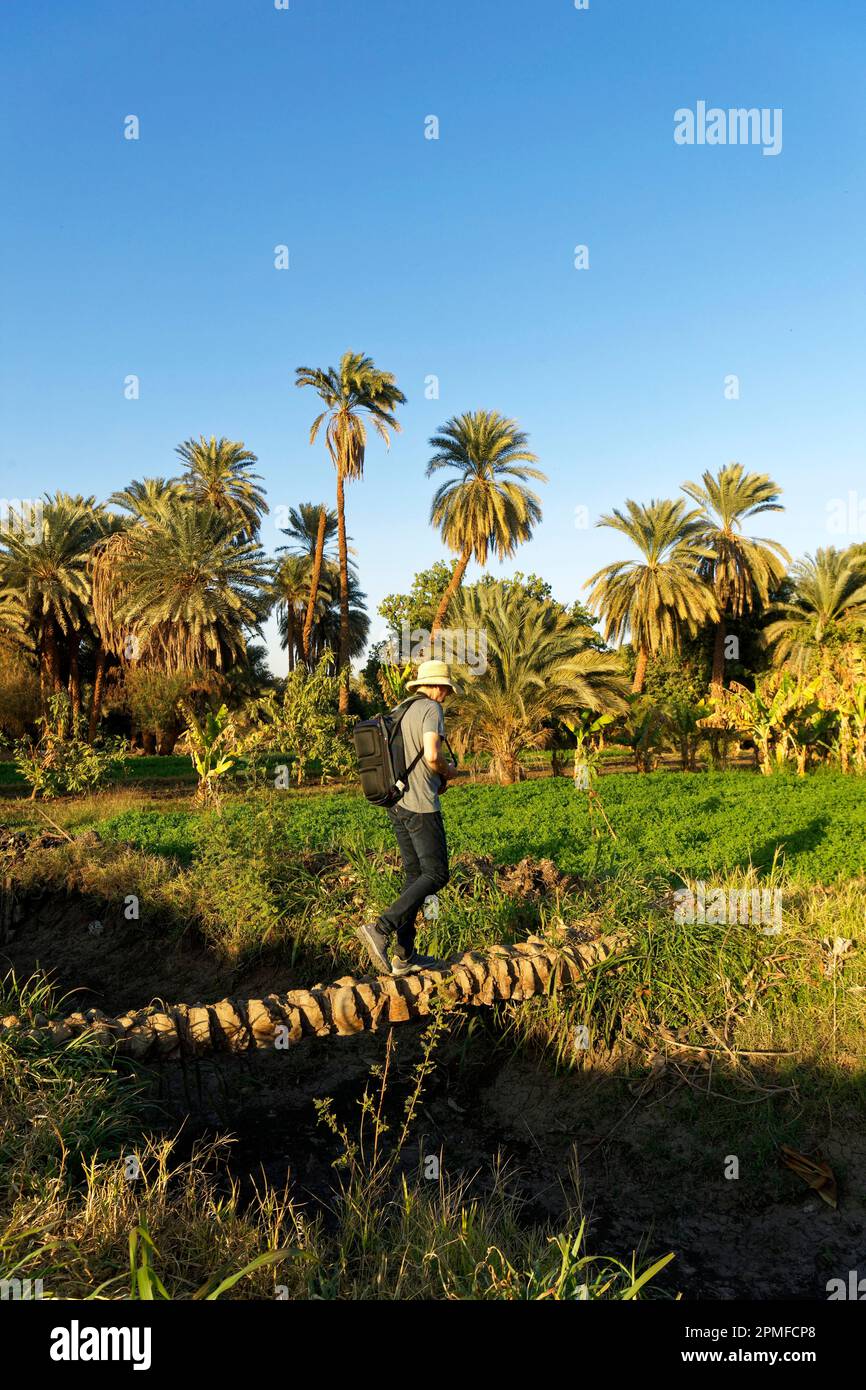 Egypt, Upper Egypt, Nile Valley, Nile river banks, tourist Stock Photo ...