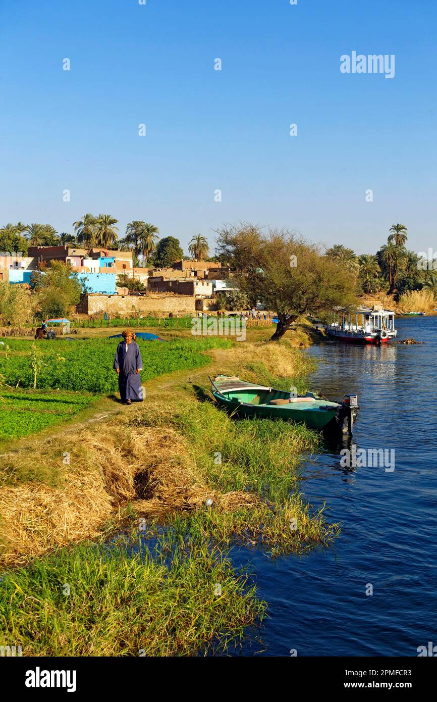 Egypt, Upper Egypt, Nile Valley, Nile river banks, country scene ...
