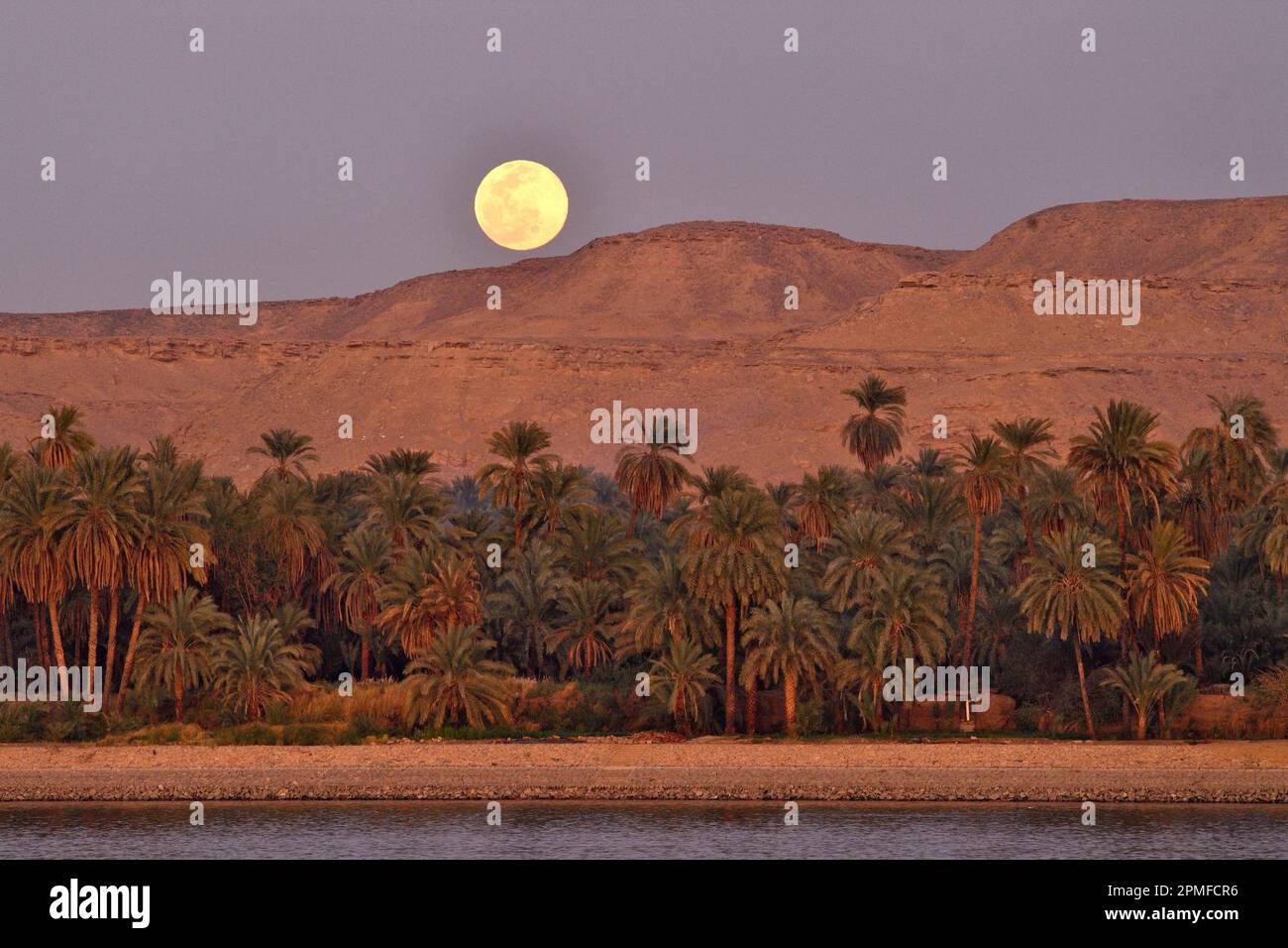 Egypt, Upper Egypt, Nile Valley, Full moon at Nile river banks Stock ...