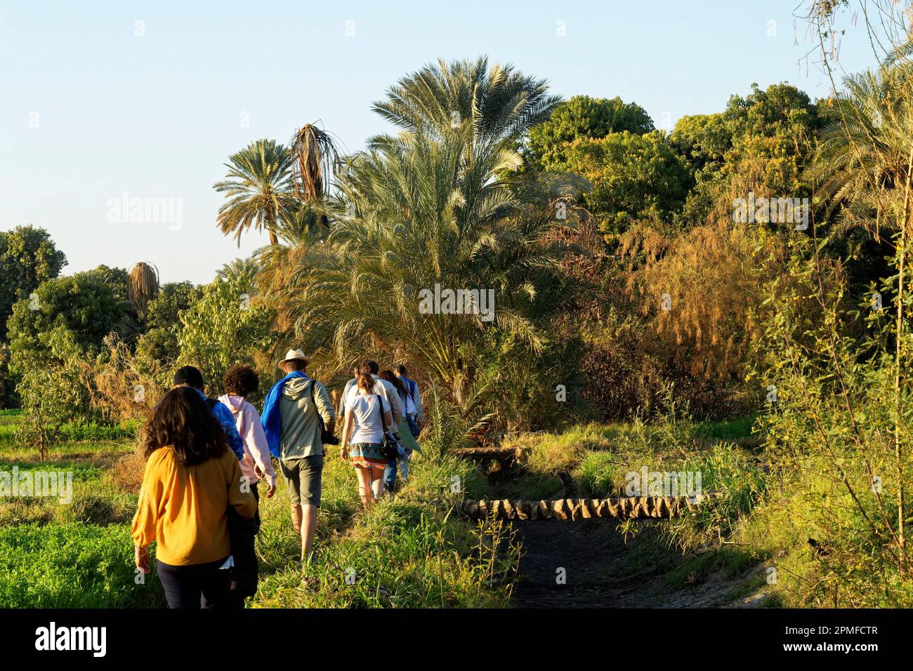 Egypt, Upper Egypt, Nile Valley, Nile river banks, tourist Stock Photo ...
