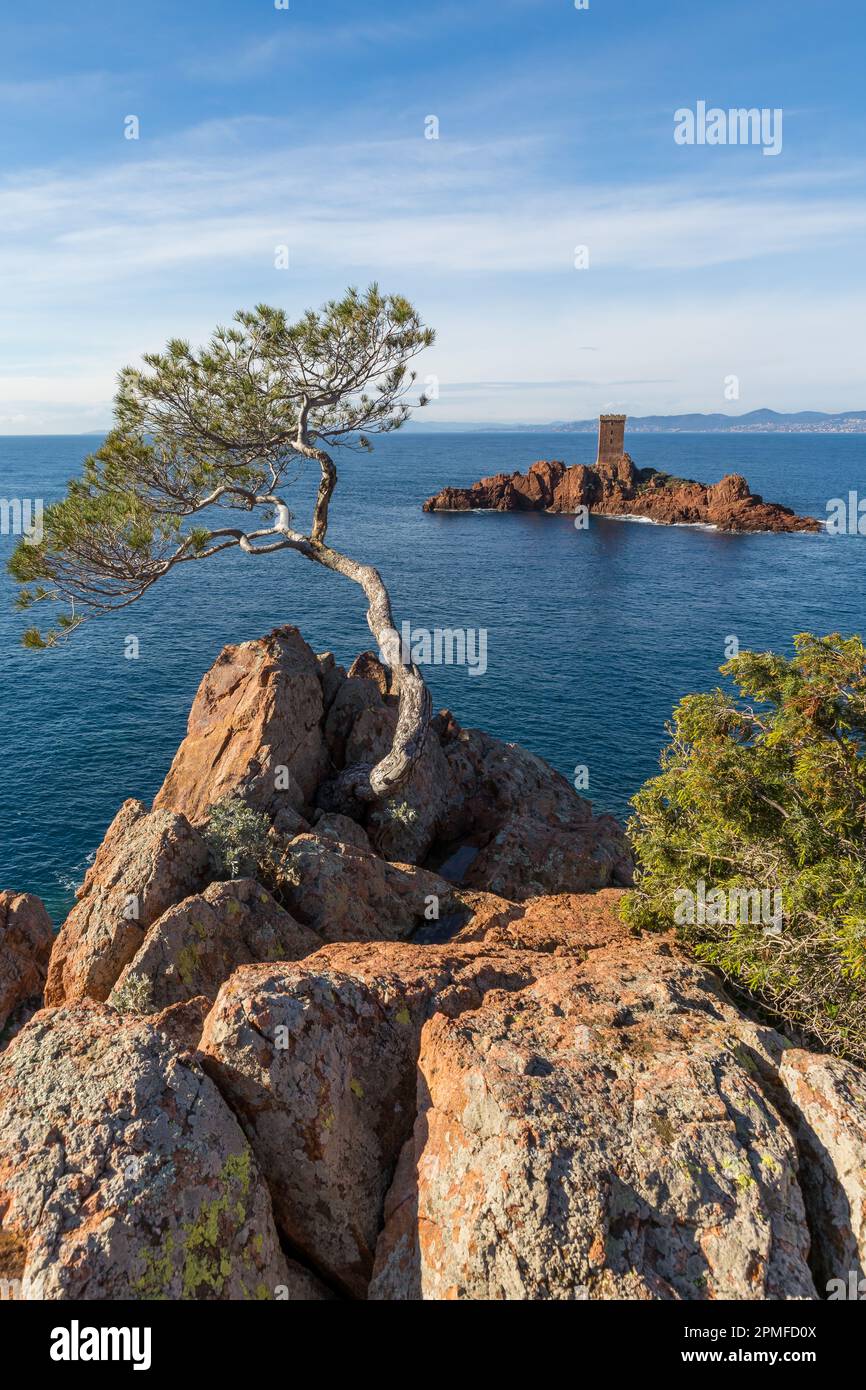 Elevated view down to Île dOr, Cape Dramont, Esterel, Cote d'Azur ...