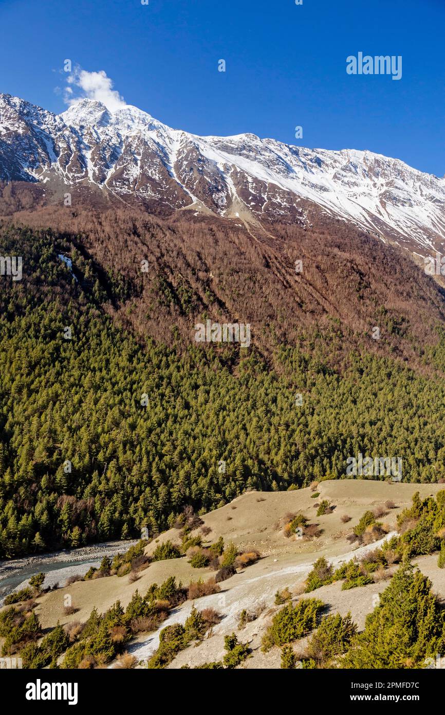 Nepal, Annapurna Conservation Area Project, Annapurna Circuit ...