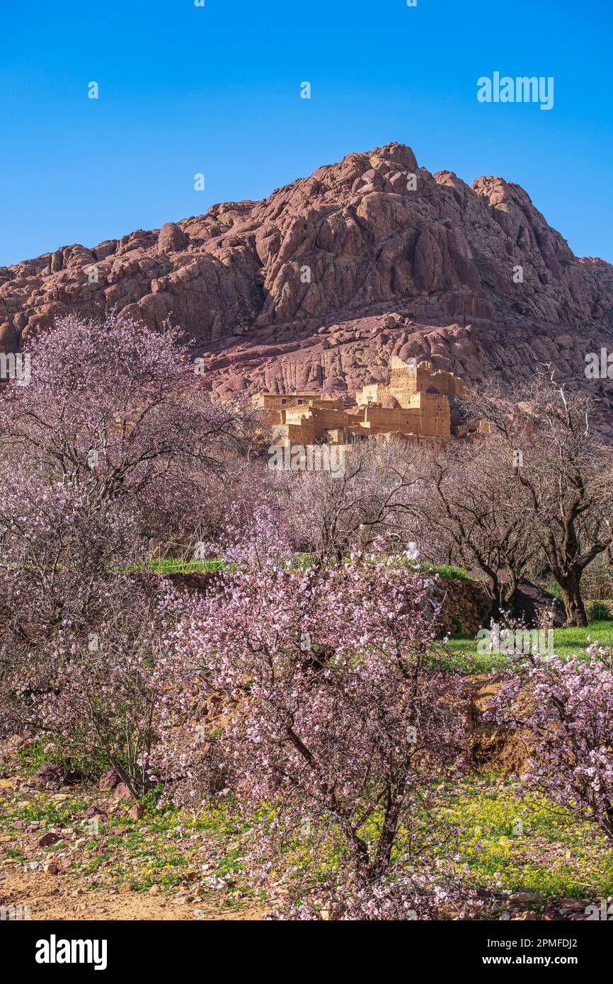 Morocco, province of Taroudant, Sidi Hsaine, old village of Timersit in ...