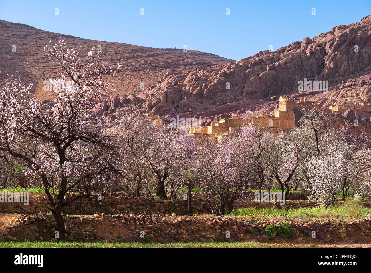 Morocco, province of Taroudant, Sidi Hsaine, old village of Timersit in ...