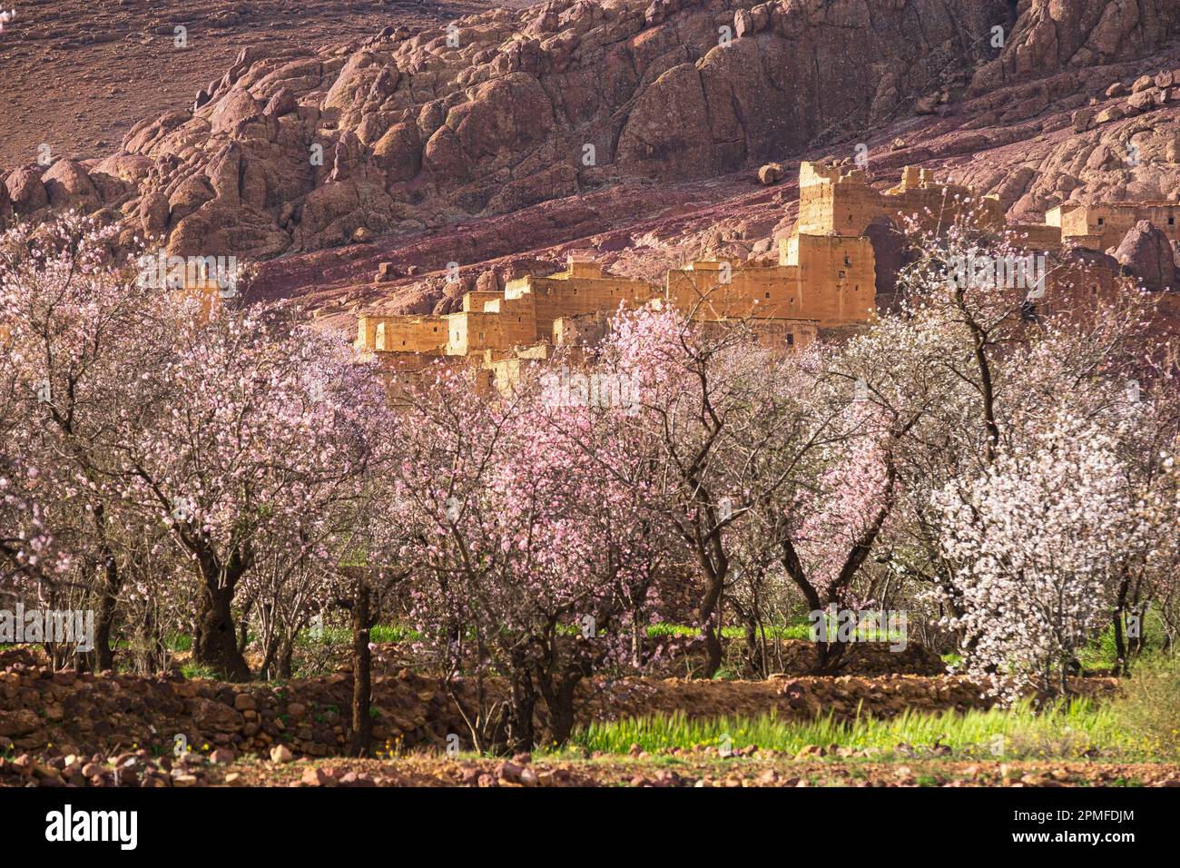 Morocco, province of Taroudant, Sidi Hsaine, old village of Timersit in ...