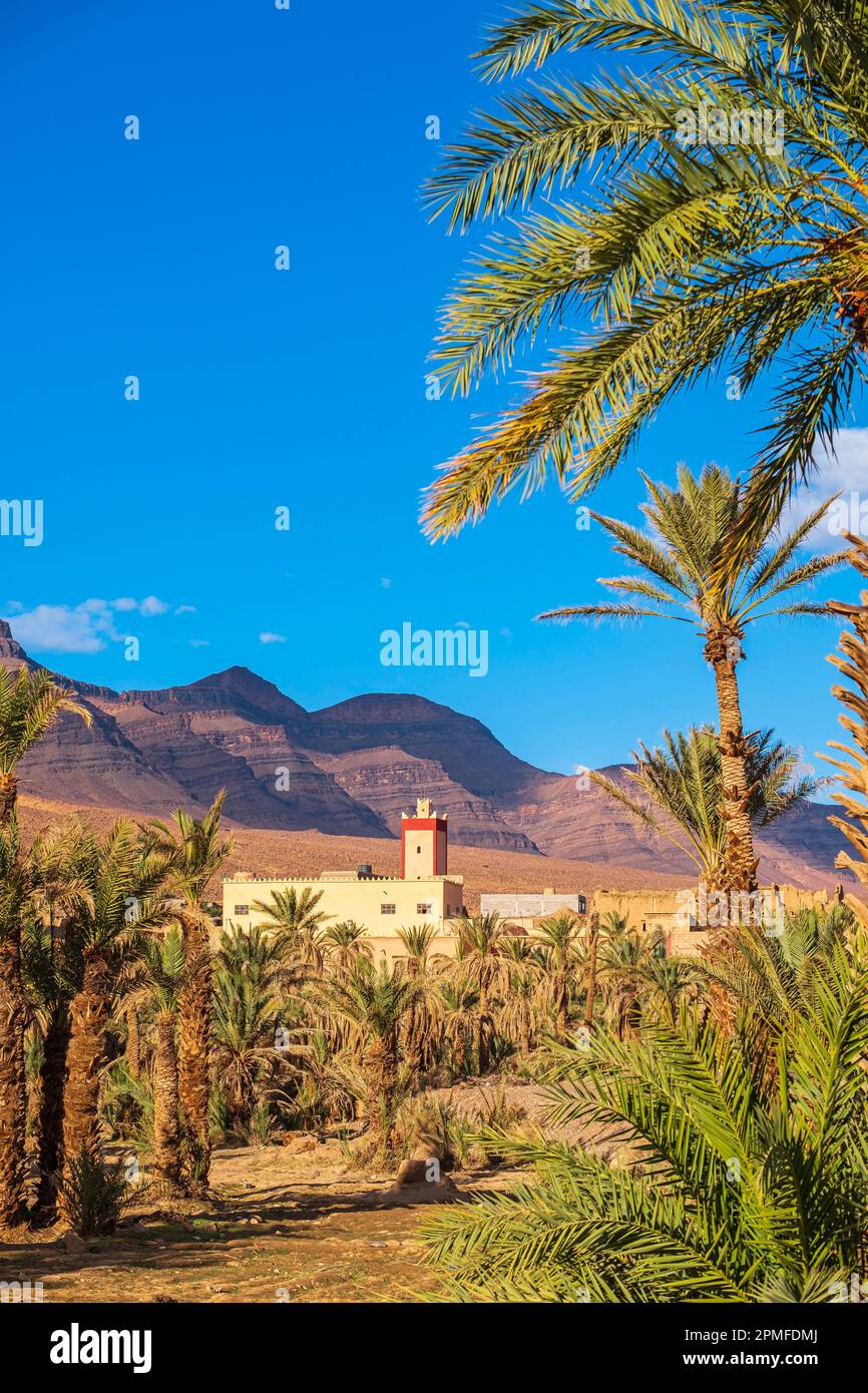 Morocco, province of Tata, village of Lamhamid at the foot of Djebel ...