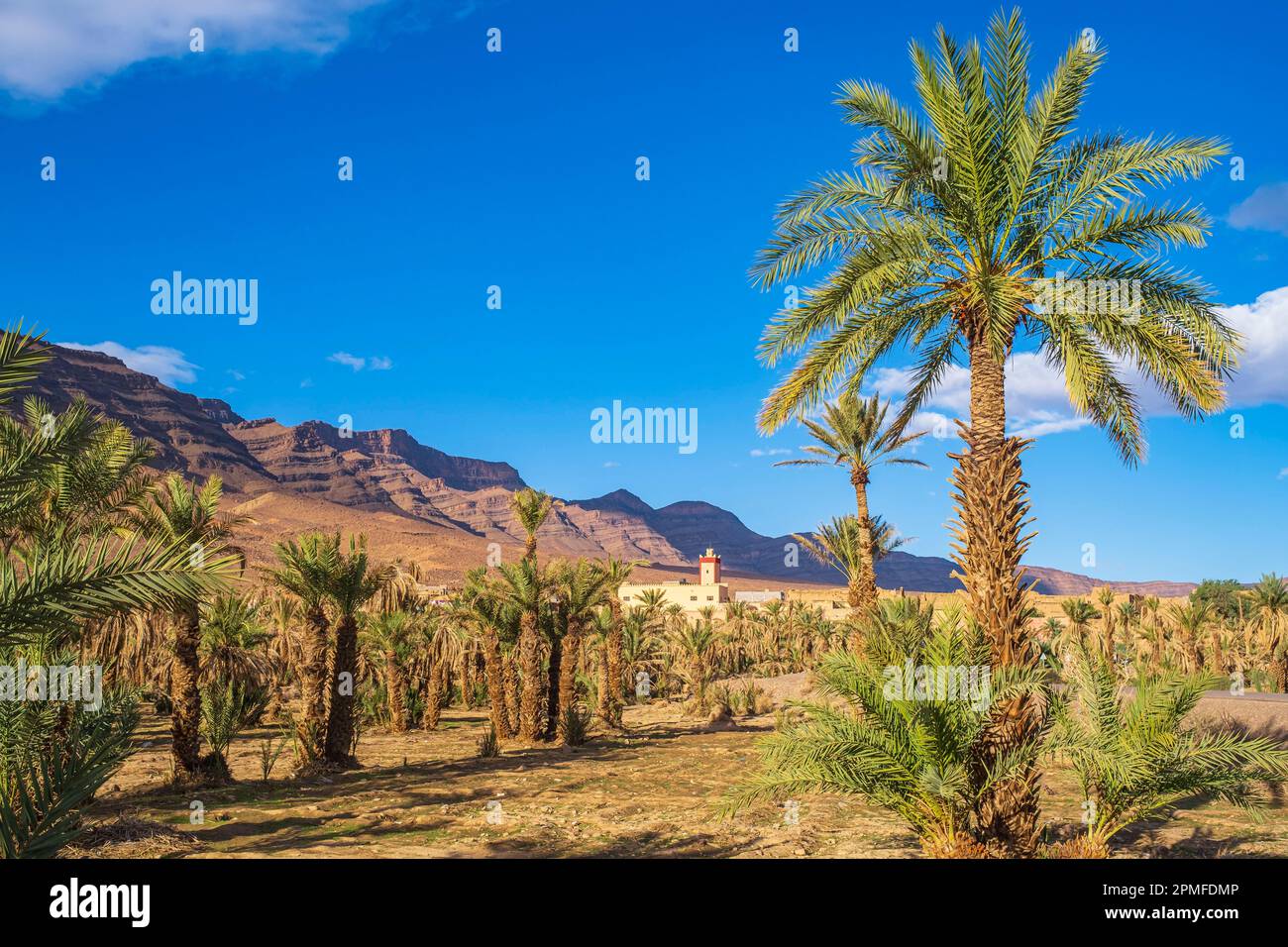 Morocco, province of Tata, village of Lamhamid at the foot of Djebel ...