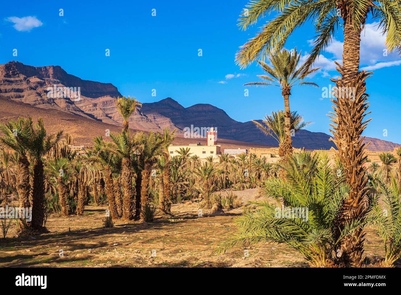 Morocco, province of Tata, village of Lamhamid at the foot of Djebel ...