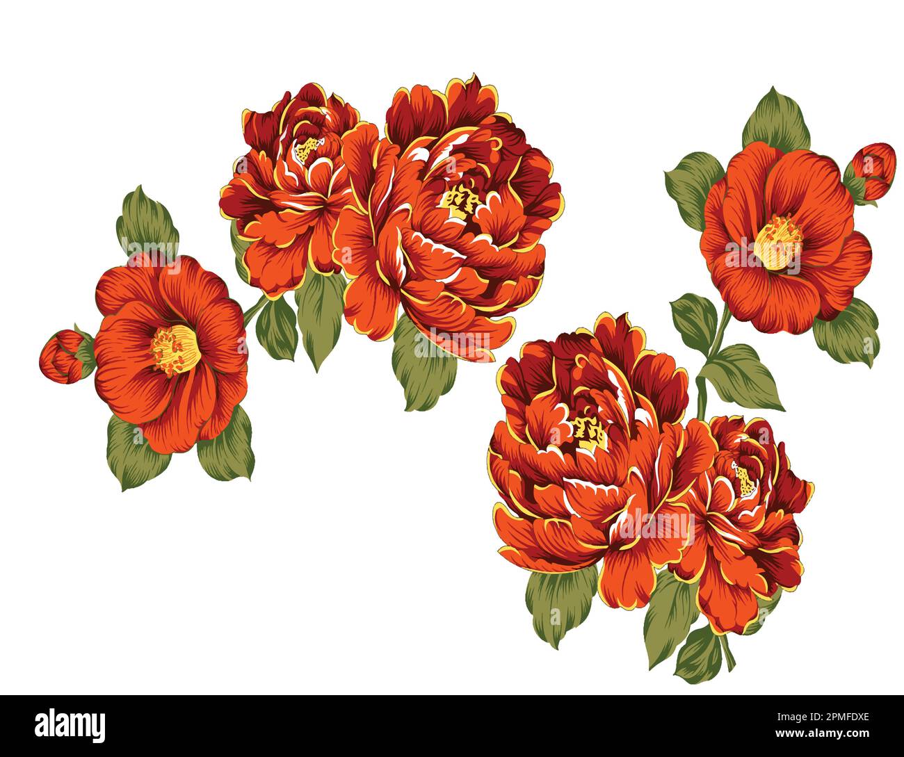 The florel vectors Stock Vector Image & Art - Alamy