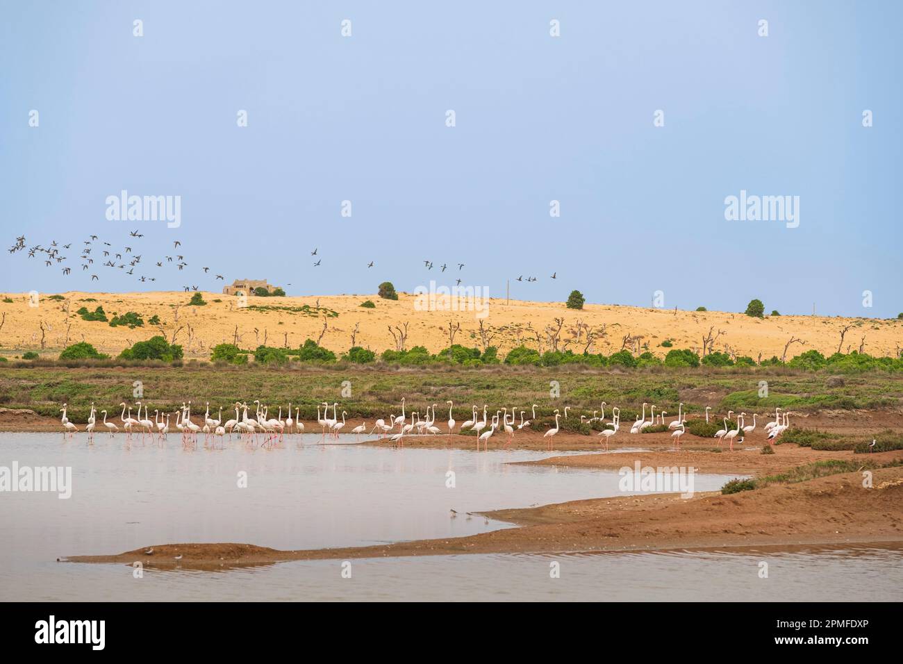 Sidi moussa oualidia hi-res stock photography and images - Alamy