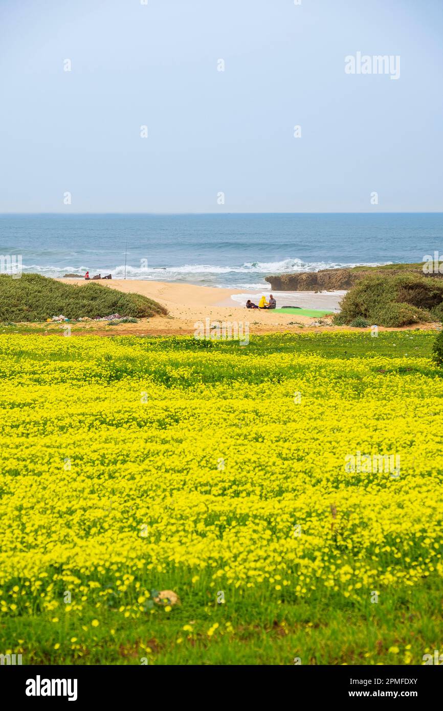 Morocco, province of El Jadida, Sidi Moussa Lagoon Nature Reserve Stock ...