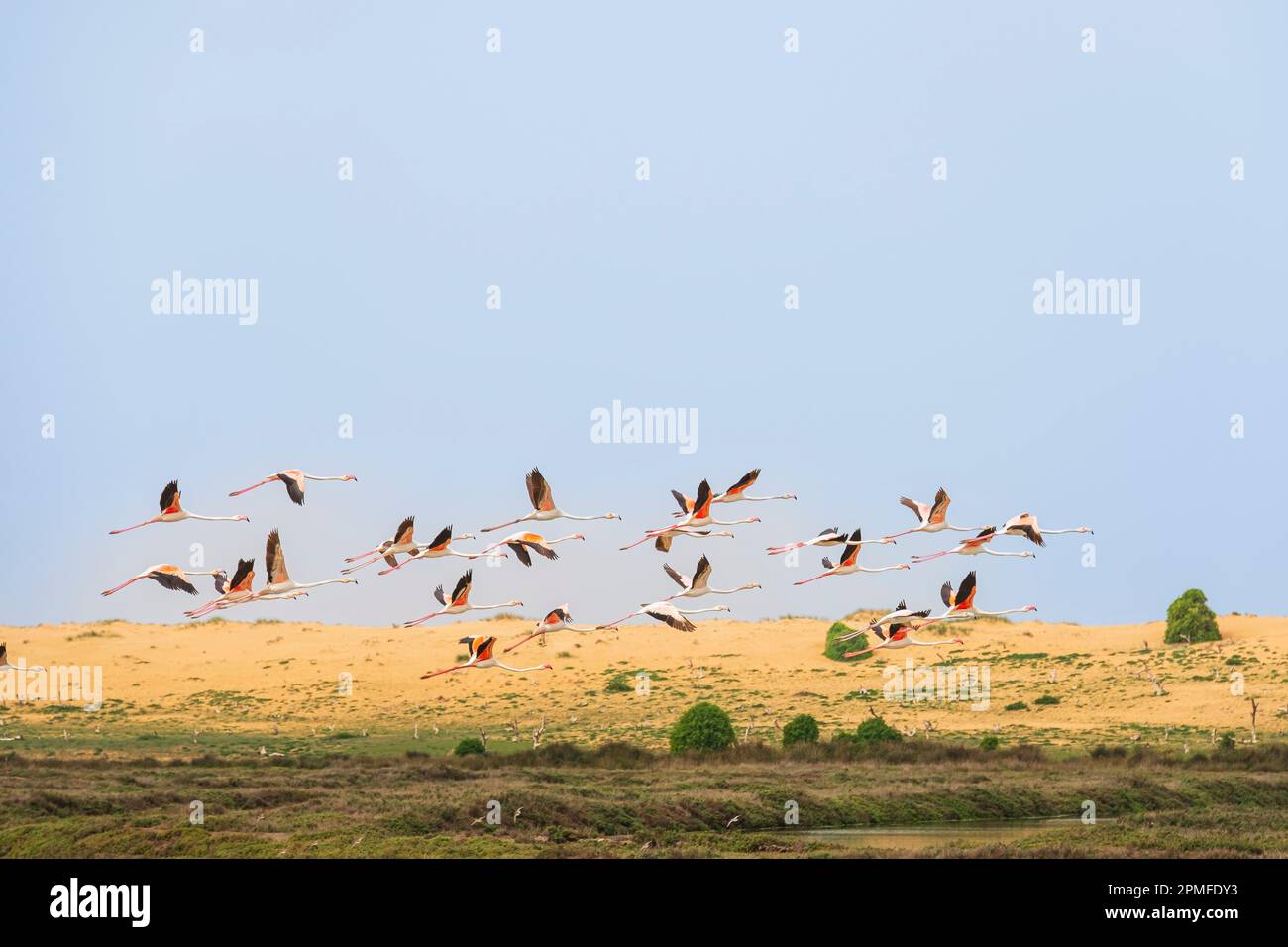 Morocco, province of El Jadida, Sidi Moussa Lagoon Nature Reserve Stock ...