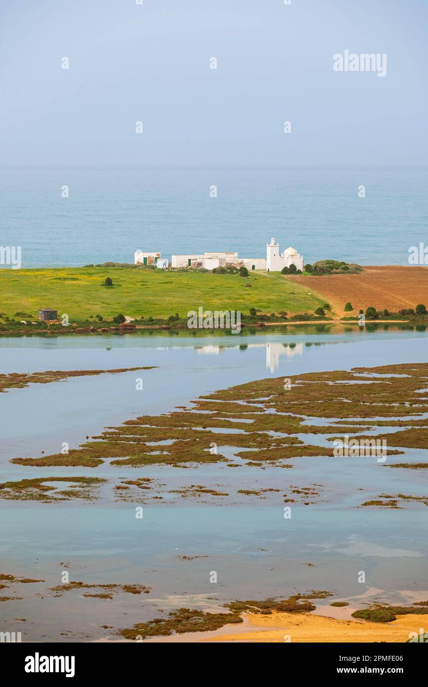 Morocco, province of Sidi Bennour, Oualidia, the lagoon Stock Photo - Alamy