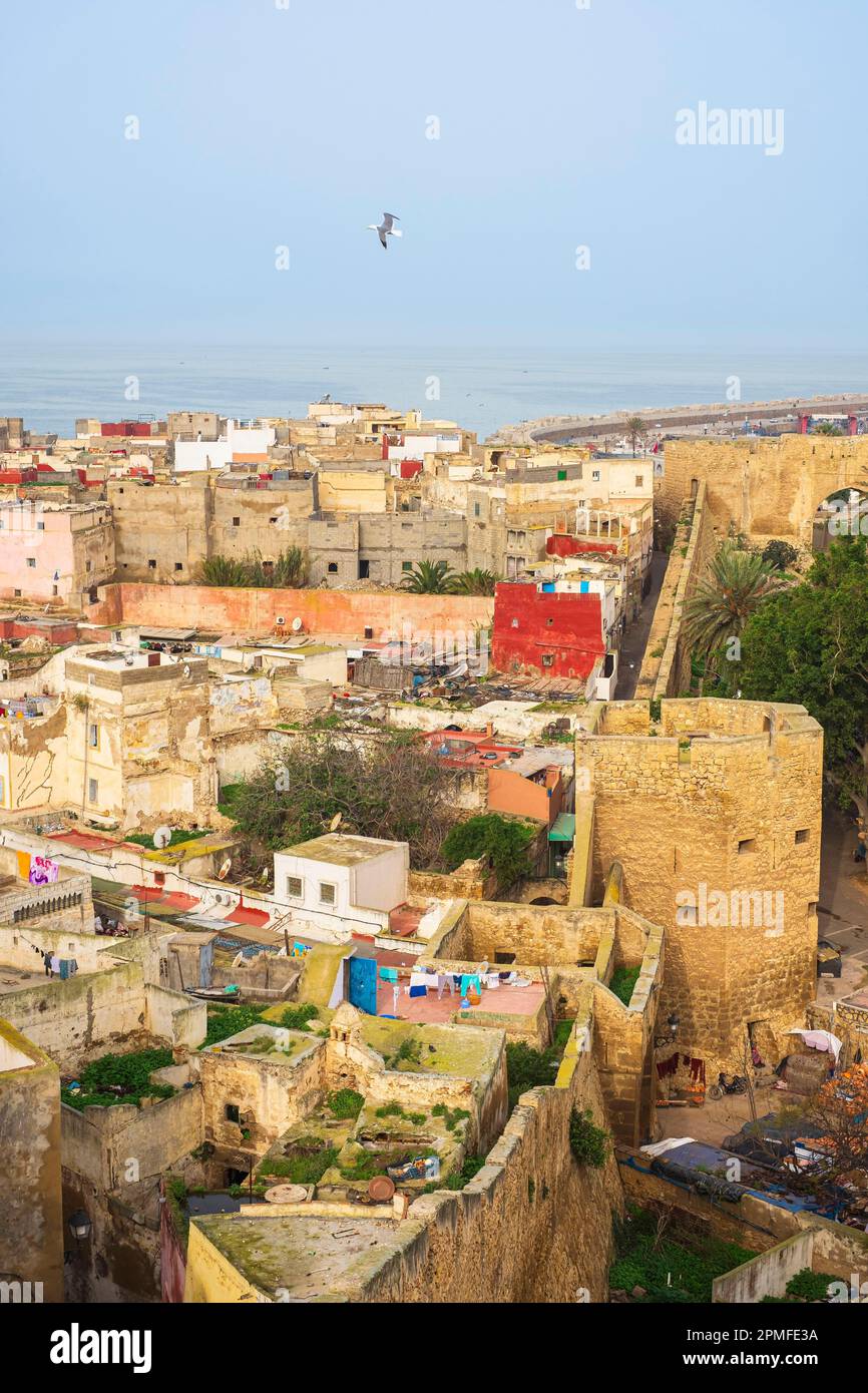 Morocco, Safi, the medina Stock Photo - Alamy