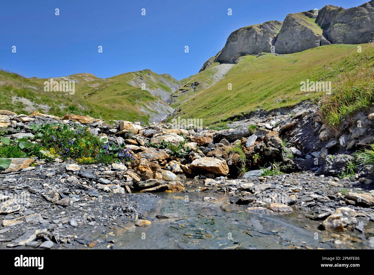little stream flowing into its pebble bed and alpine mountain in the ...