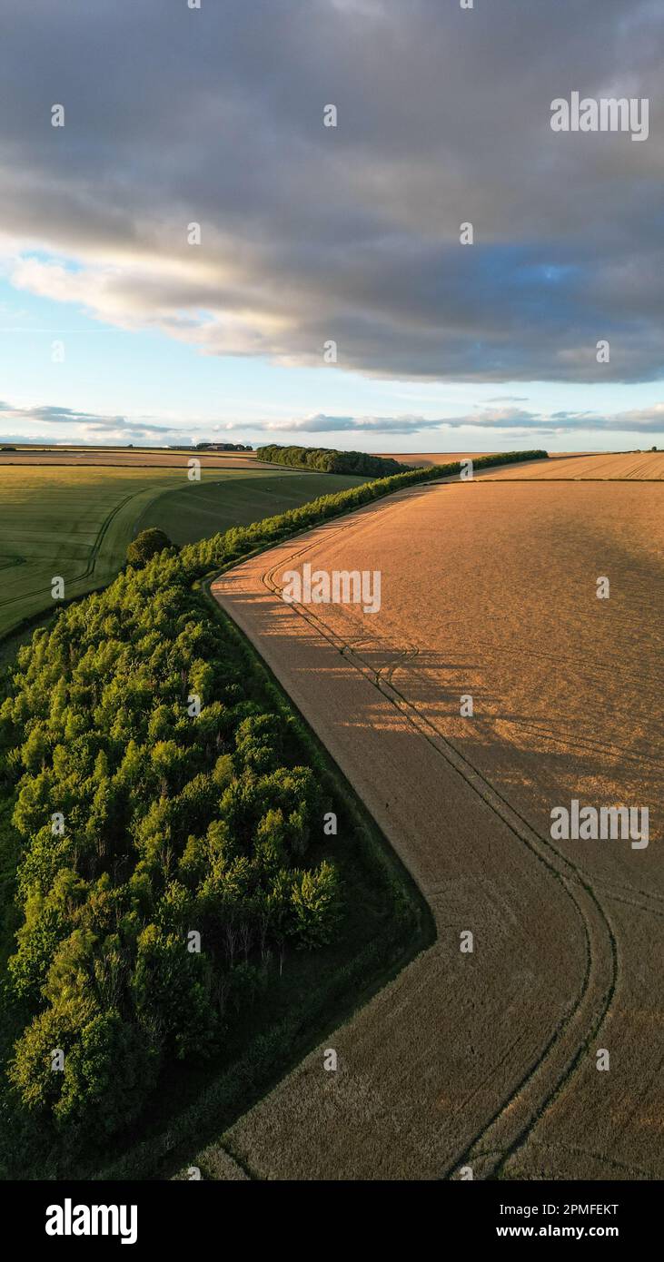 Yorkshire Wolds East Riding of Yorkshire uk, Aerial shot of East ...