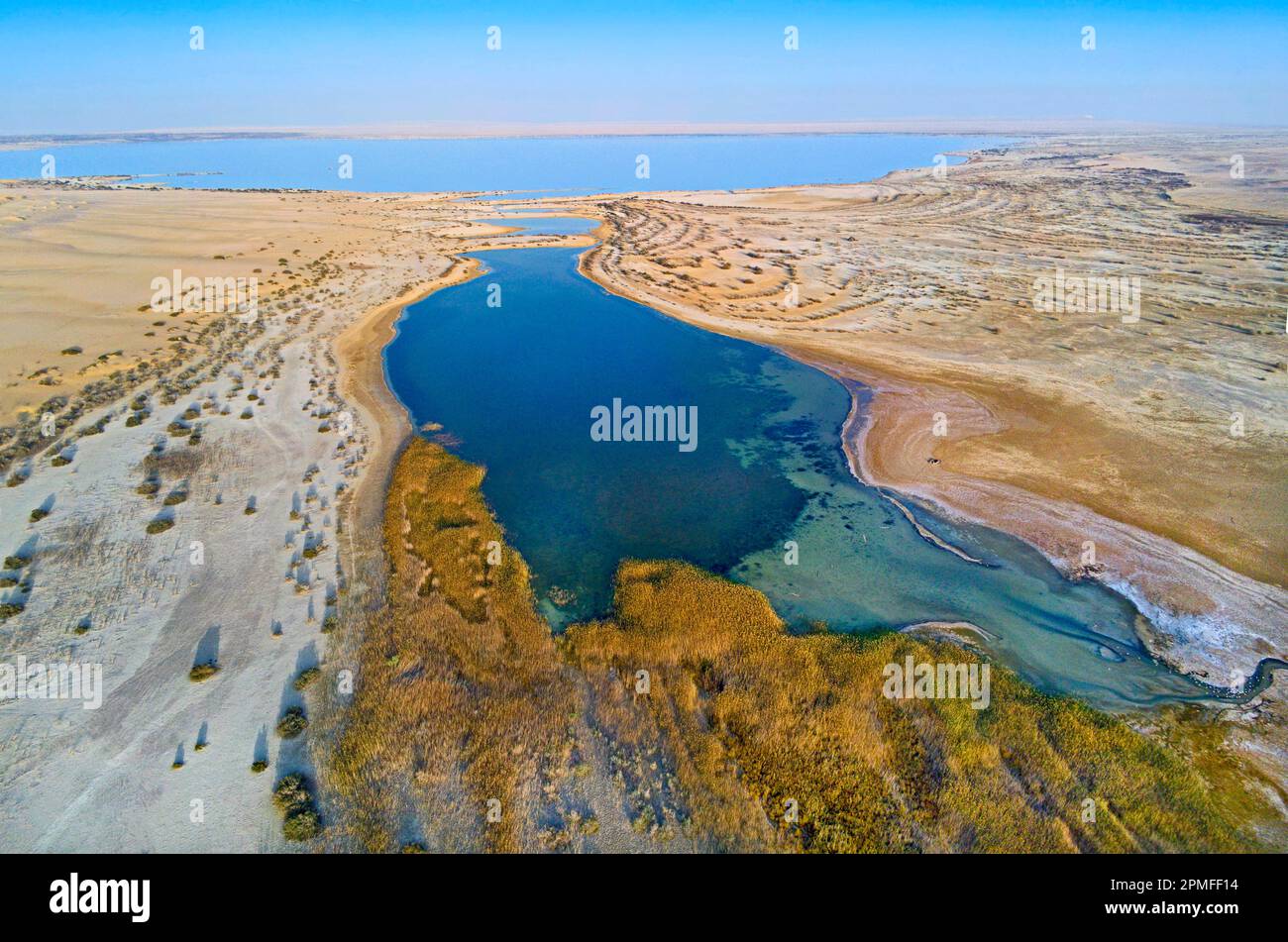 Egypt, Fayoum area, protected area of Wadi El Rayan, the lakes of Gebel ...
