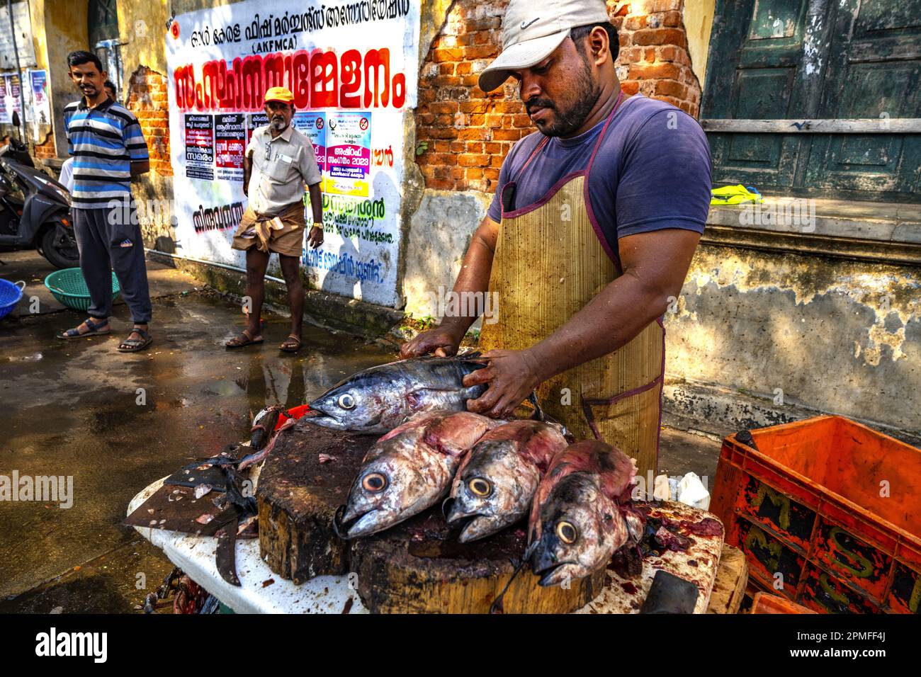 India, Kerala, Kochi, selling fish Stock Photo - Alamy