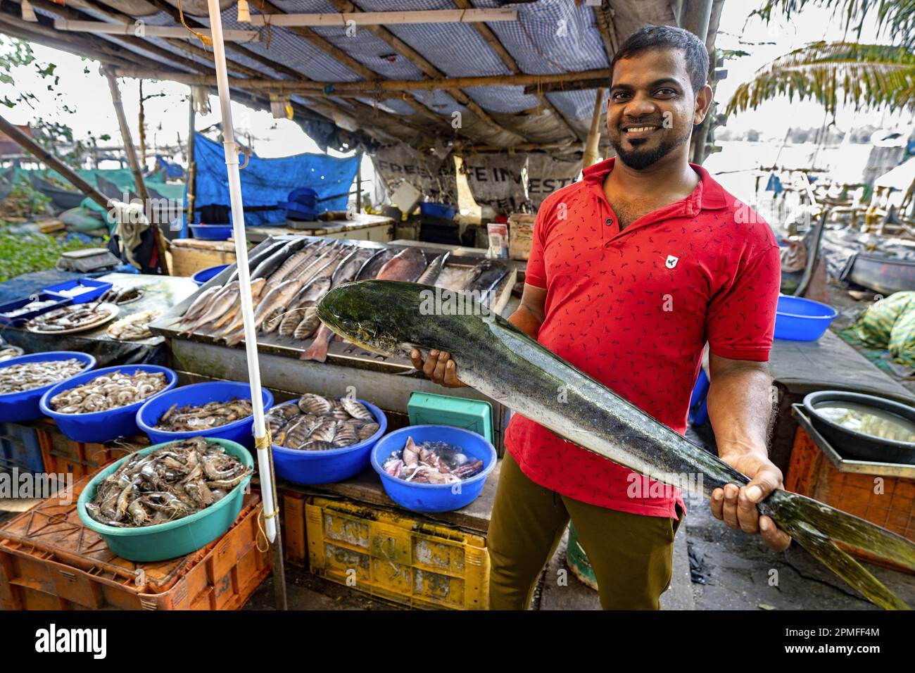 India, Kerala, Kochi, selling fish, mahi mahi fish Stock Photo - Alamy