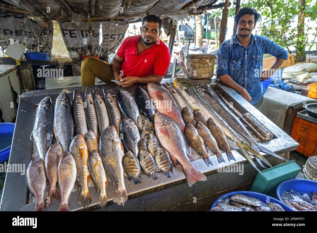 India, Kerala, Kochi, selling fish Stock Photo - Alamy