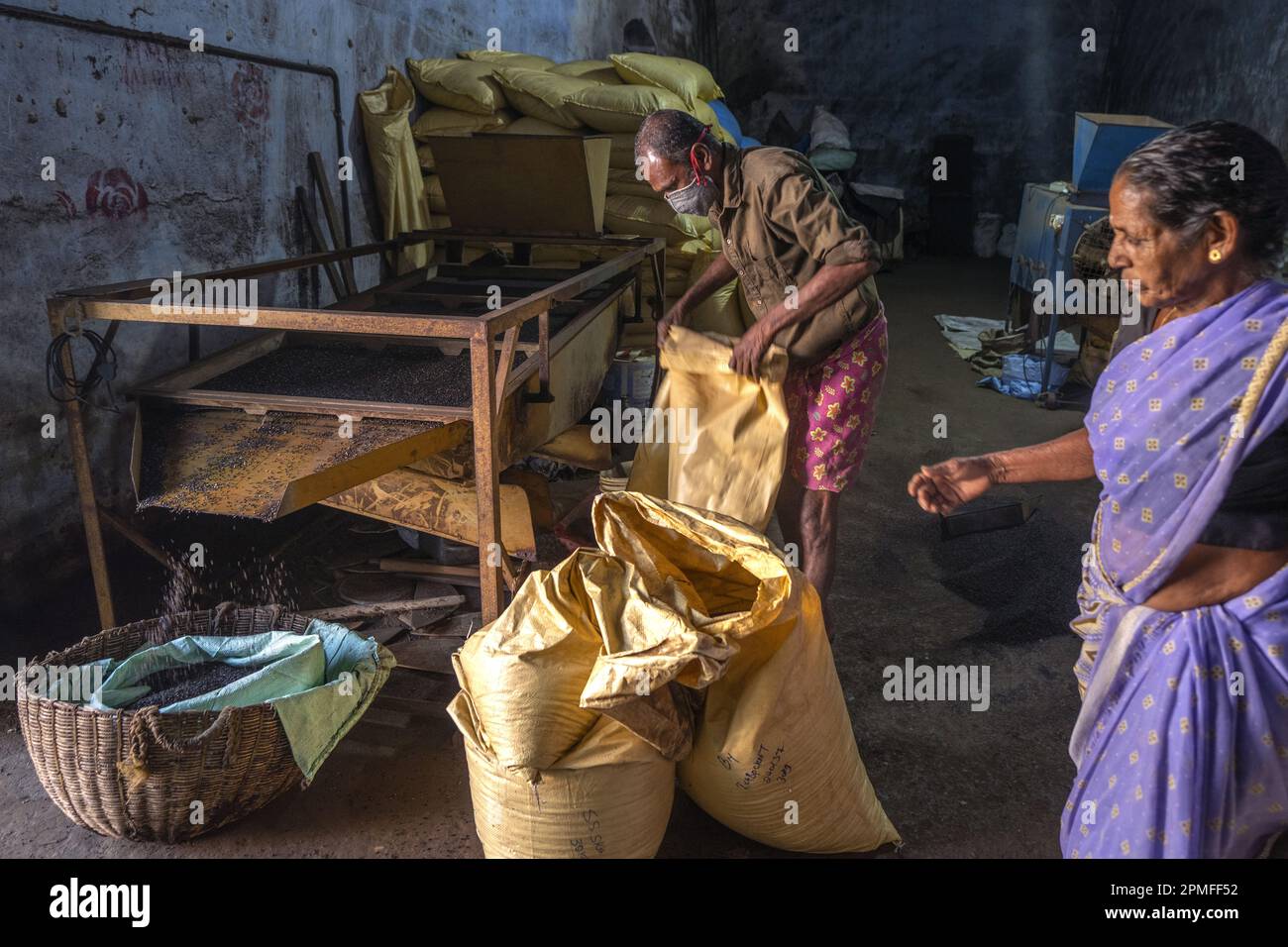 India, Kerala, Kochi, spice quarter, pepper Stock Photo - Alamy