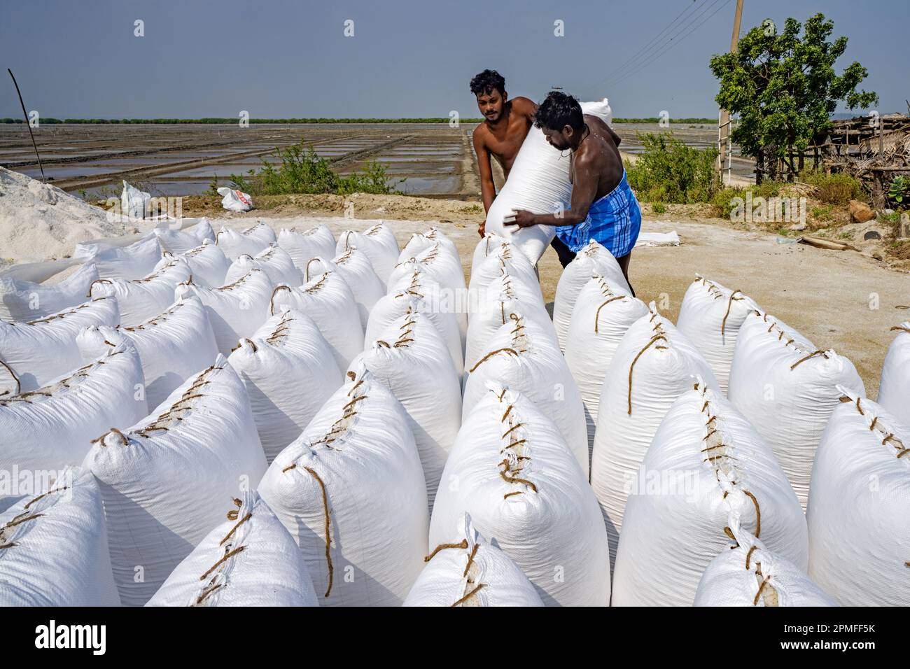 India, Pondichery, salt Stock Photo - Alamy