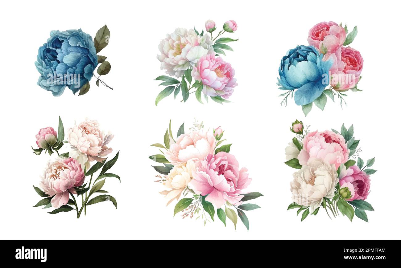 Watercolor flower peony, flowers and leaves peonies, watercolor rose ...