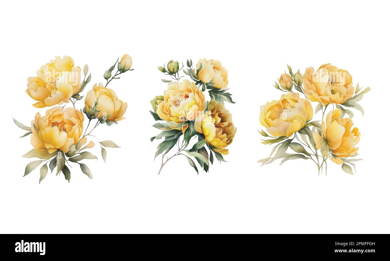 Watercolor flower peony, flowers and leaves peonies, watercolor rose ...