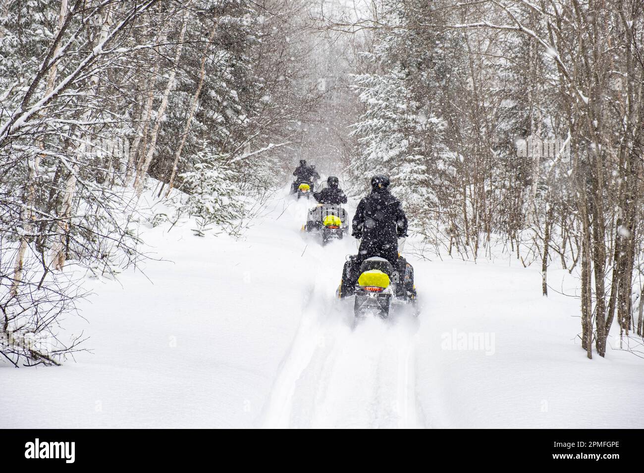 Canada, Quebec Province, Lac Taureau Regional Park, snowmobile on track ...