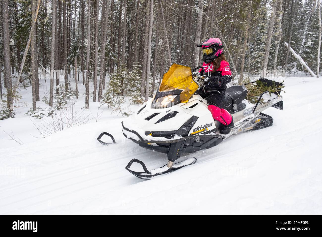 Canada, Quebec Province, Lac Taureau Regional Park, snowmobile on track ...